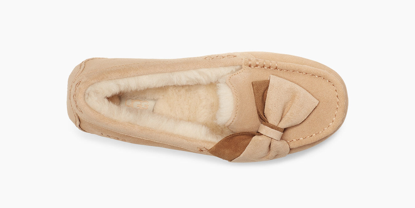 UGG® Ansley Two-Tone Bow Slipper for Women | UGG® EU