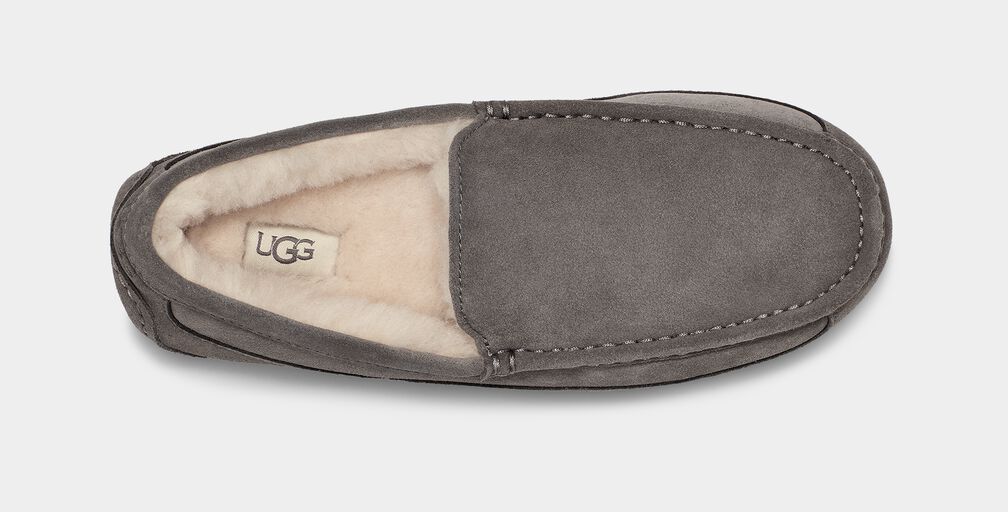Ascot Slipper Ugg