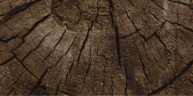 UGG Responsible Materials | UGG