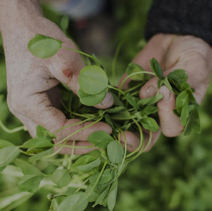 UGG Sustainable Footwear Products | UGG® Official