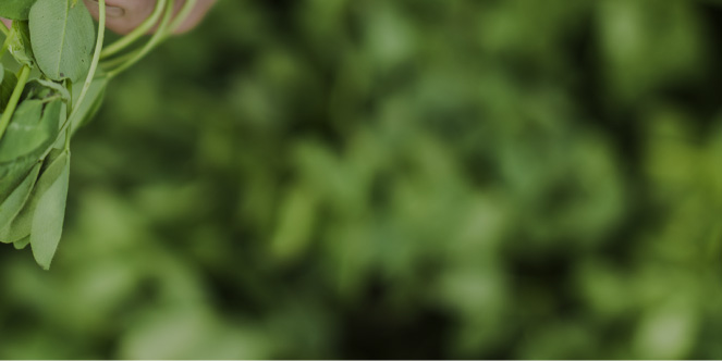 UGG Responsible Materials | UGG