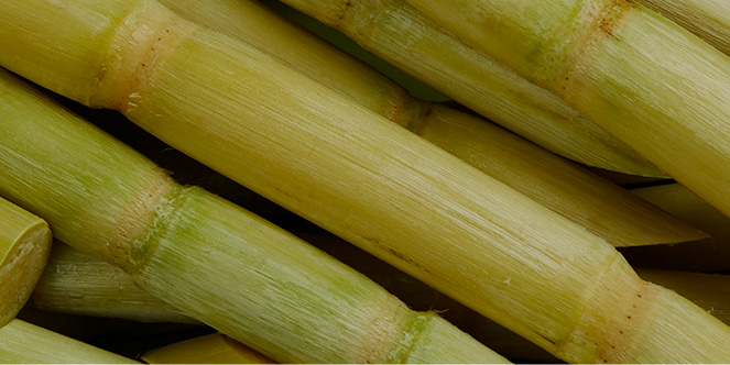 UGG Responsible Materials | UGG