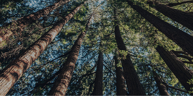 UGG Responsible Materials | UGG